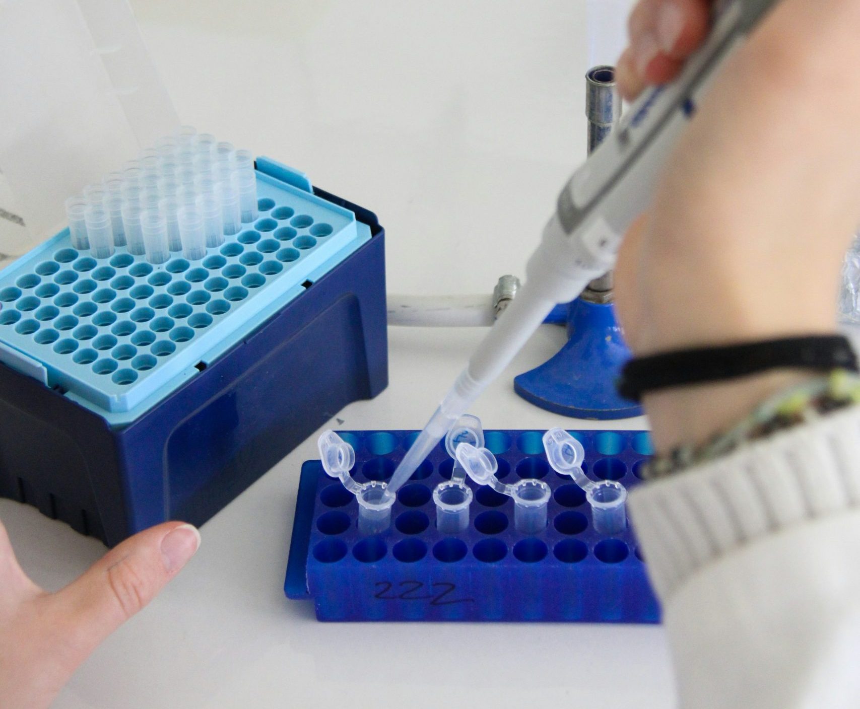 AI-powered genomic platform gains speed boost with GPU acceleration ...